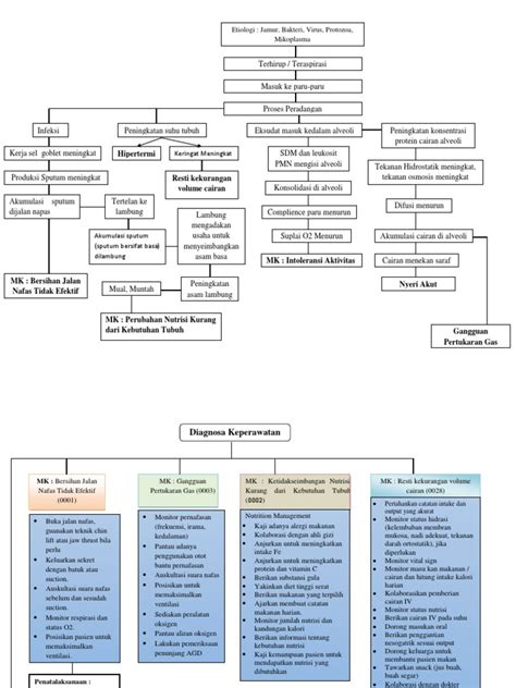 Woc Pneumonia Pdf Kesehatan Holistik