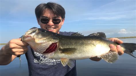 Cape Coral Fl Fishing Florida Largemouth Bass Fishing Cape Coral