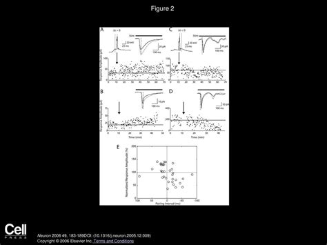 Receptive Field Modification In Rat Visual Cortex Induced By Paired Visual Stimulation And