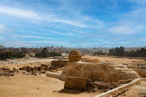 Sphinx Egypt Portrait Portrait Of The Great Sphinx Of Egypt Close