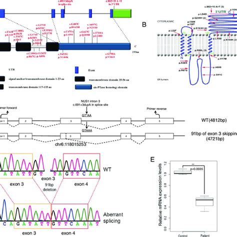 Data Analysis Workflow And The Protein Protein Interaction Networks