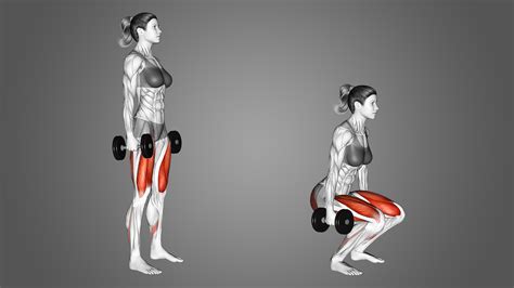6 Best Dumbbell Squat Variations With Pictures Inspire Us
