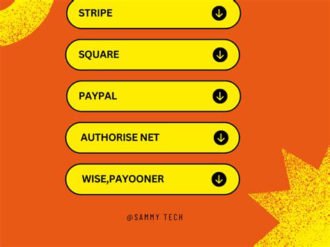 A Payment Gateway Like Stripe Paypal Authorise Payooner Wise Upwork
