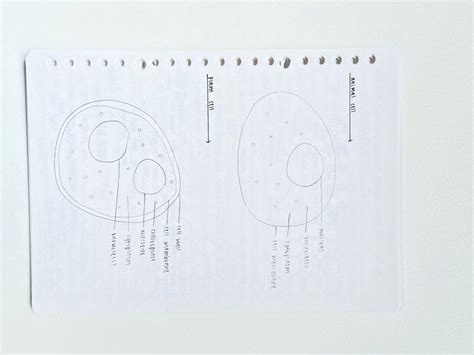 Secondary 2 Science Notes Hobbies And Toys Stationery And Craft