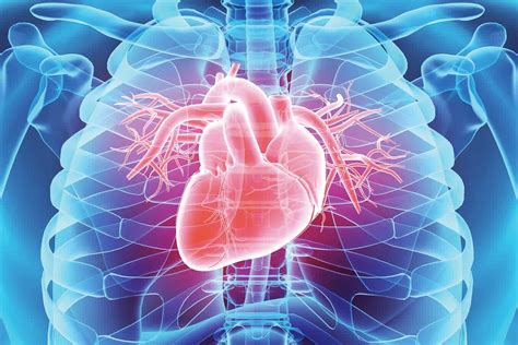 25 Facts About Myocardium Disorder
