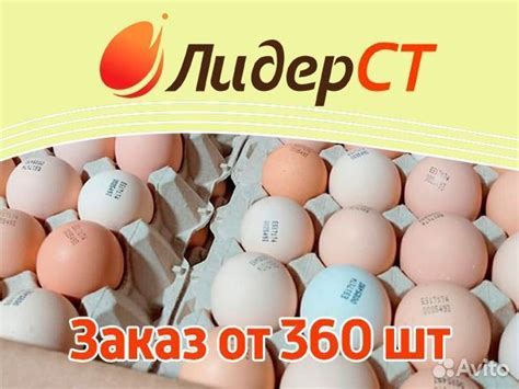 Инкубационное яйцо бройлера купить в Курске Животные и зоотовары Авито