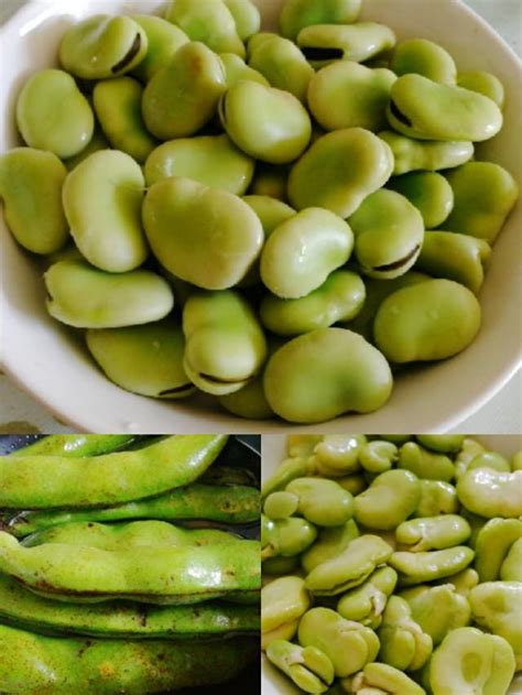 5月時令菜最好吃的蔬菜只有這一季這菜營養豐富不知你喜歡怎麼吃 每日頭條