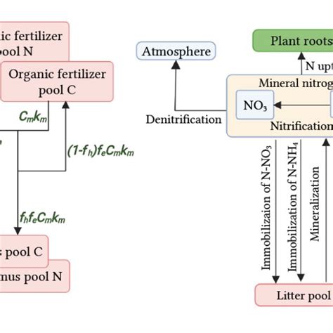 Illustration Of The Litter Humus Organic Fertilizer Pools Carbon And Download Scientific