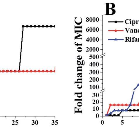 A Effect Of Compounds 4a4 4b4 4e3 And 4e1 On The Polymerization Of Download Scientific