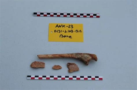 Ναυάγιο Αντικυθήρων Υπέροχα τα νέα αρχαιολογικά ευρήματα τμήματα