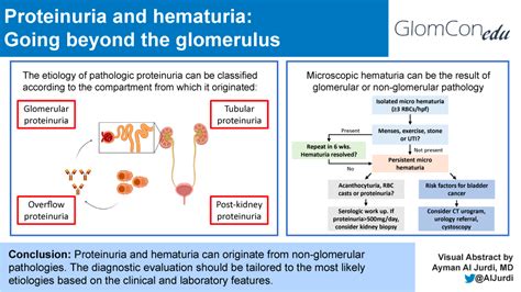 Proteinuria And Hematuria Glomcon Pubs