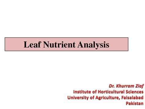 Solution Leaf Nutrient Analysis Studypool