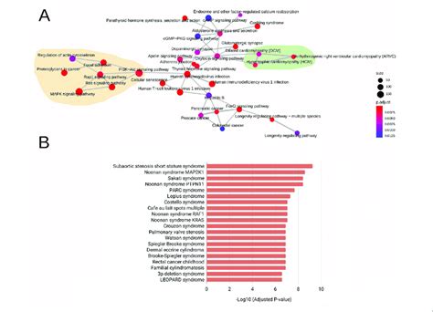 Enriched Pathways Obtained From Kegg Terms A Rare Disease Terms