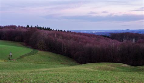 경치 경치가 좋은 고독 고요한 공원 광야 그림 같은 나무 녹색 농촌의 단 하나 나무 독일 독일 시골 맑은 공기 맑은 하늘 목가적 인 목가적인