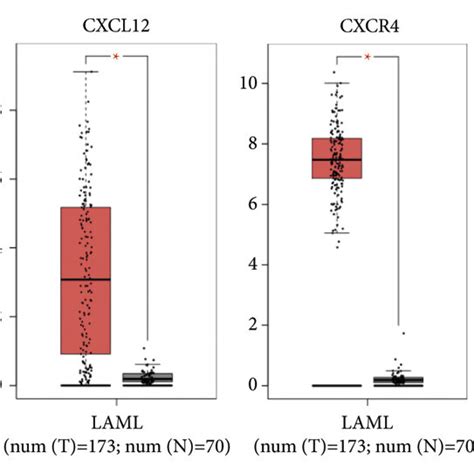 The Expression Levels Of Mir 3677 5p Cxcl12 And Cxcr4 In Leukemia
