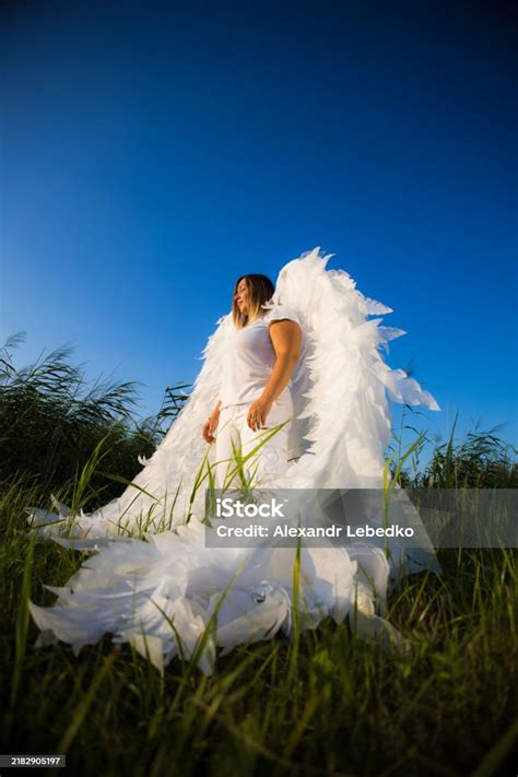 커다란 하얀 천사 날개를 달고 흰 가운을 입은 금발의 여성이 맑고 푸른 하늘을 배경으로 키 큰 풀밭에 서서 고요하고 미묘한 장면을 연출합니다 각도에 대한 스톡 사진 및 기타