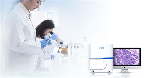 🔬🔍 Solving The Digital Pathology Whole Slide Image Storage Problem