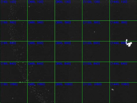 Artifact Elimination In Microscopic Images Image Analysis Imagesc
