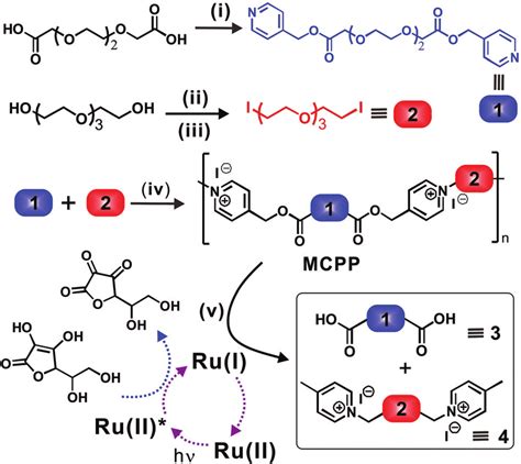 The Synthesis And Visible Light Triggered Degradation Of Mcpp I Download Scientific Diagram