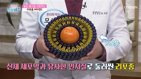 우리 몸의 세포와 유사하게 구성된 ‘리포좀 비타민c Tv Chosun 221026 방송 굿모닝 정보세상 716회