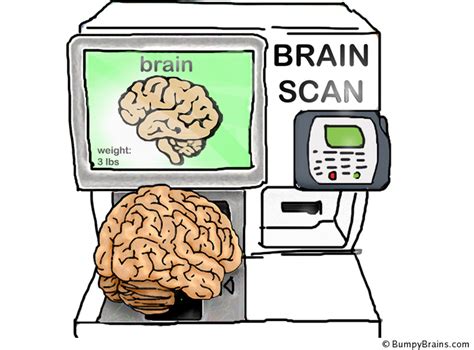 Bumpy Brains Brain Scan