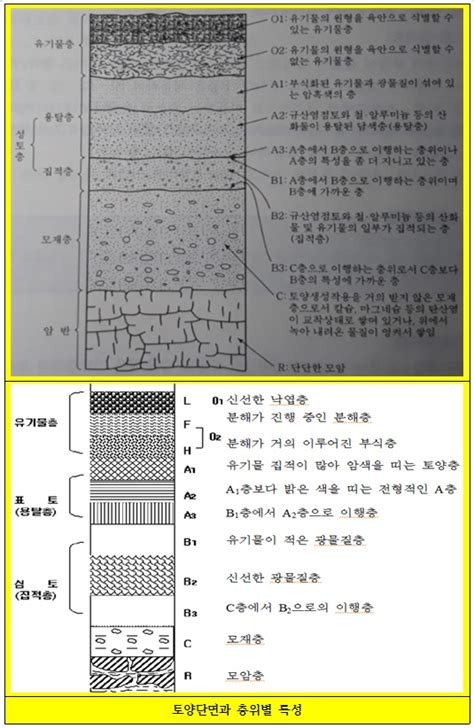 산림토양의 층위horizon 발달 및 특징 토양단면 네이버 블로그