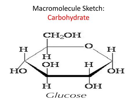 Macromolecule Notes Biology Notes Sb1c Ppt Download