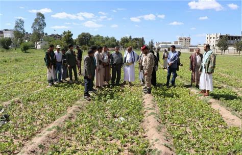 تدشين مشروع توزيع مليون و300 ألف شتلة عنب وتين بذمار يمانيون