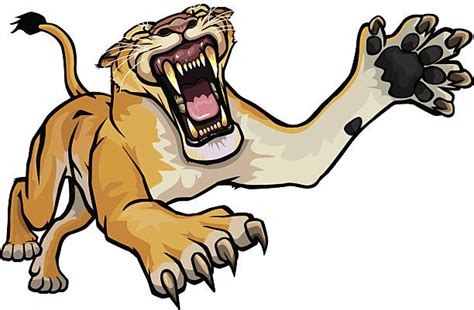 Female Lion Roar Stock Vectors Istock
