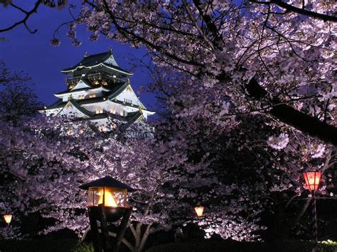 2009关西京都 大阪 姬路夜樱情报