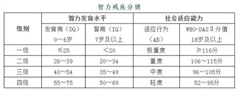 关于自闭症孩子办理残疾证的一切 ALSOLIFE