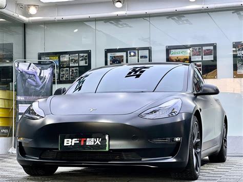 慈溪蓝火特斯拉model 3p高性能版亚光黑武士model 3社区易车社区