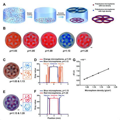 acoustic differential bioassembly based on density effect a scheme