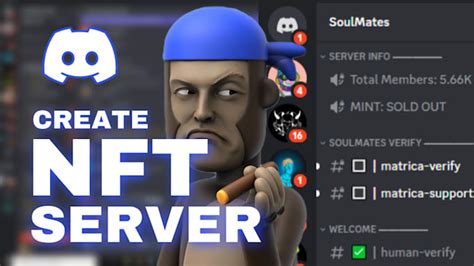 Setup Your Nft Discord Server By Skinny0 Fiverr