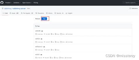 从0到1全面讲解rabbitmq消息队列搭建以及springboot配置详解rabbitmq添加队列 Csdn博客