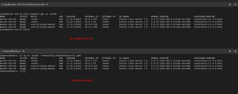 Cluster Kubernetes Multi Master în Oracle Cloud Free Tier Despre Linux
