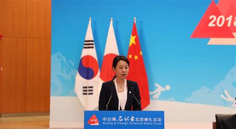 2018中日韩名记者北京崇礼论坛 国际 人民网