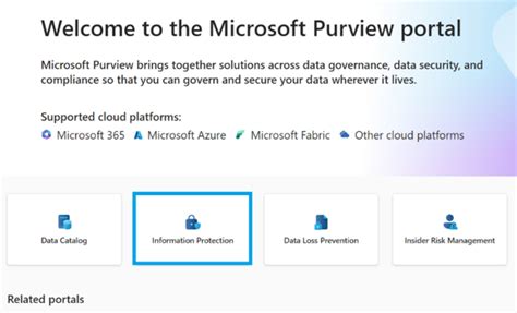 Microsoft Purview Guide Eccentrix Corner
