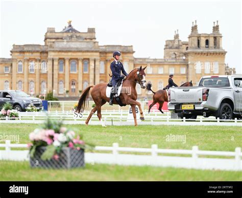 Calvin Bockmann Of Germany With The Phantom Of The Opera During The Dressage Test At The