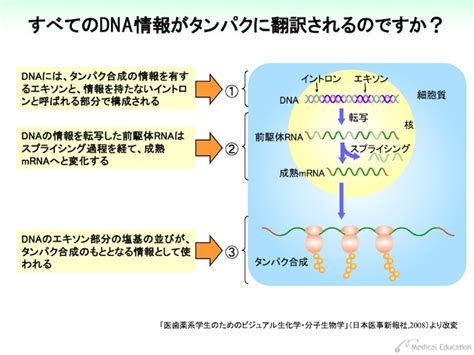 がん遺伝子検査入門 倫理教材lab（ラボ）