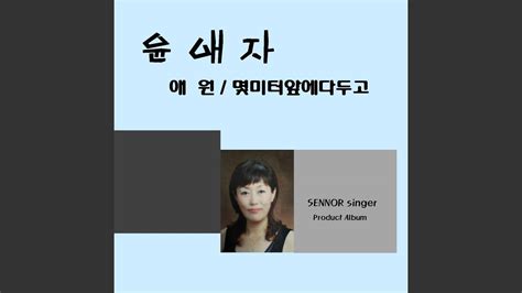애원 Youtube