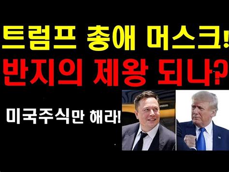 트럼프의 총애를 받는 머스크 절대 반지의 권력마저 머스크는 자신이 그리고 싶은것을 그린다 미국주식만 해야하는 이유 트럼프
