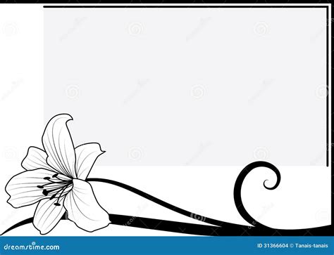 Lily 向量例证 插画 包括有 模式 典雅 分级显示 花卉 例证 艺术 新潮 空白 设计 31366604