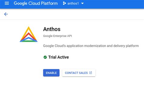 Kubernetes Anthos Gke On Prem 110 On Nested Vmware Environment