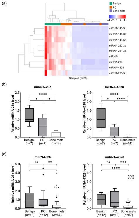 Cancers Free Full Text Investigating Microrna Profiles In Prostate