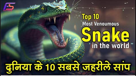 दुनिया के 10 सबसे जहरीले सांप Top 10 Most Venomous Snakes In The