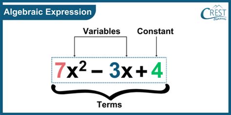 Polynomials Class 9 Notes Maths Olympiad