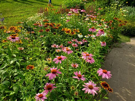 Mixed Borders A Garden Staple Westside News