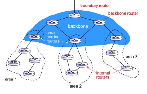 Networks 2 Routing In The Internet Flashcards Quizlet