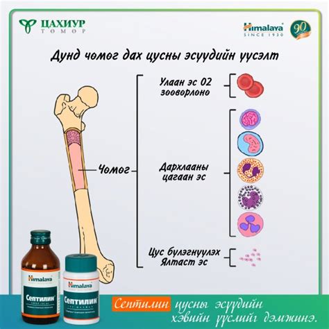 Эс гэж юу вэ Вирүс болон бактер хоорондоо ямар ялгаатай вэ “ЦАХИУР ТӨМӨР” ХХК